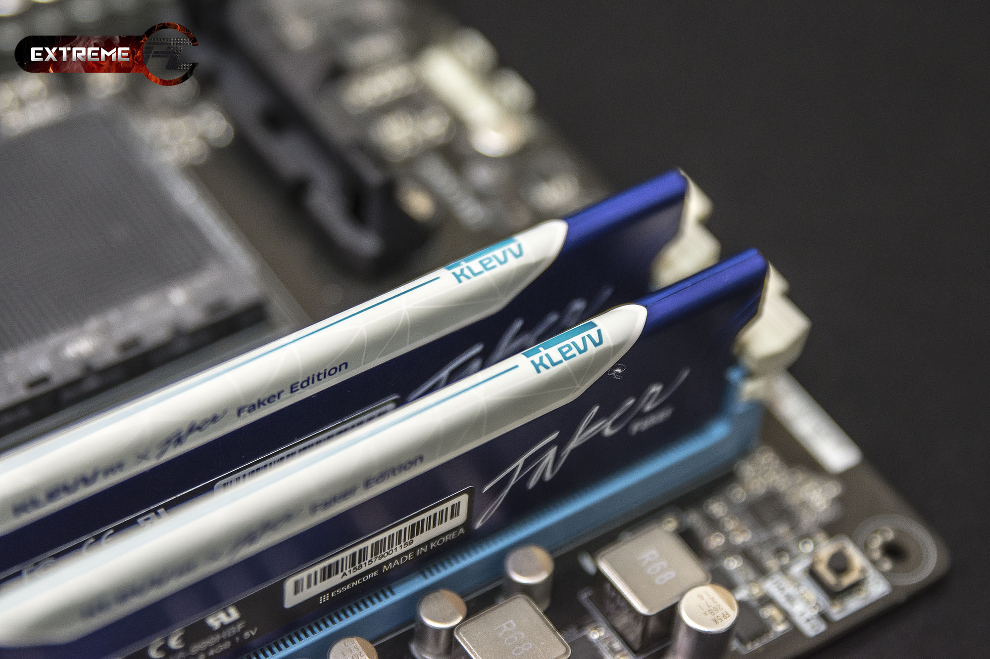 DSC_2772 - Extreme IT