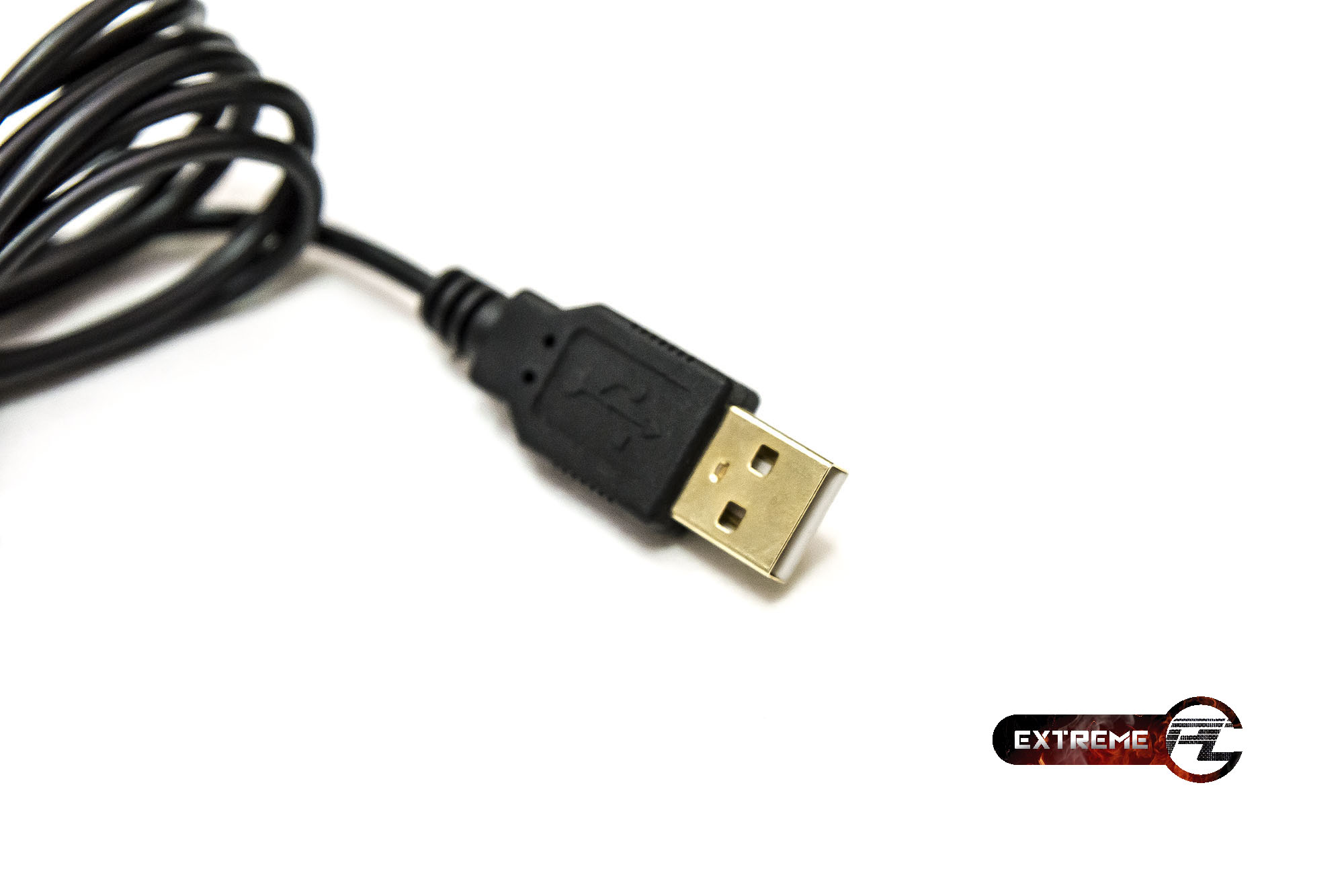 DSC_4996 - Extreme IT