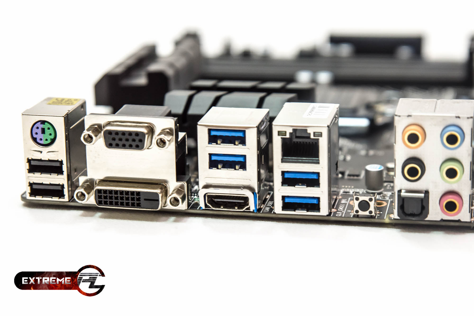 DSC_8095 - Extreme IT