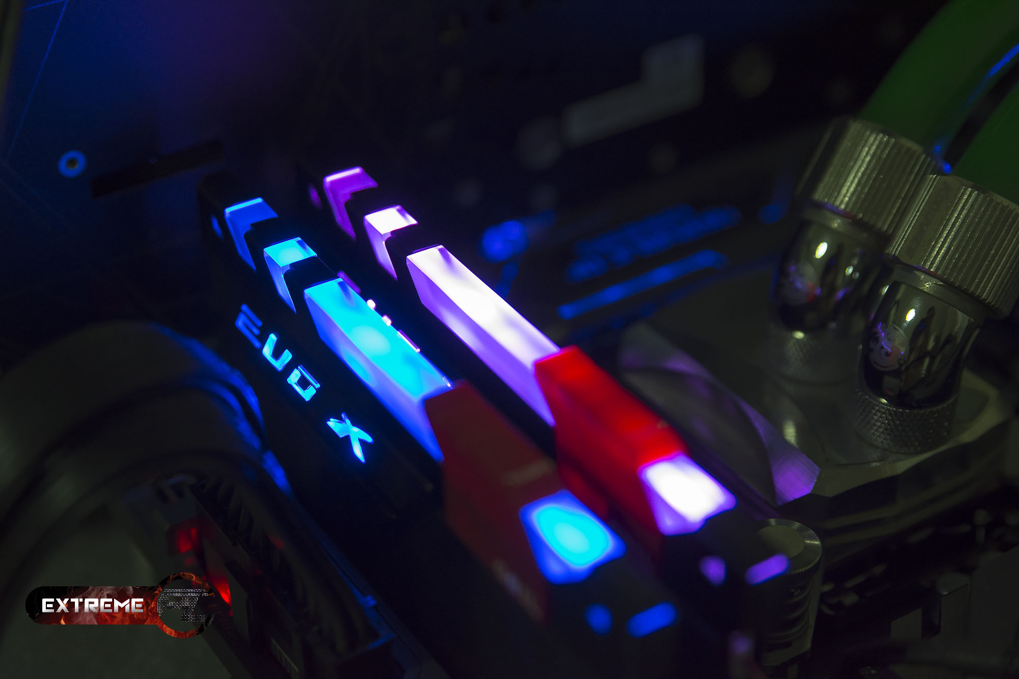 DSC_4308 - Extreme IT