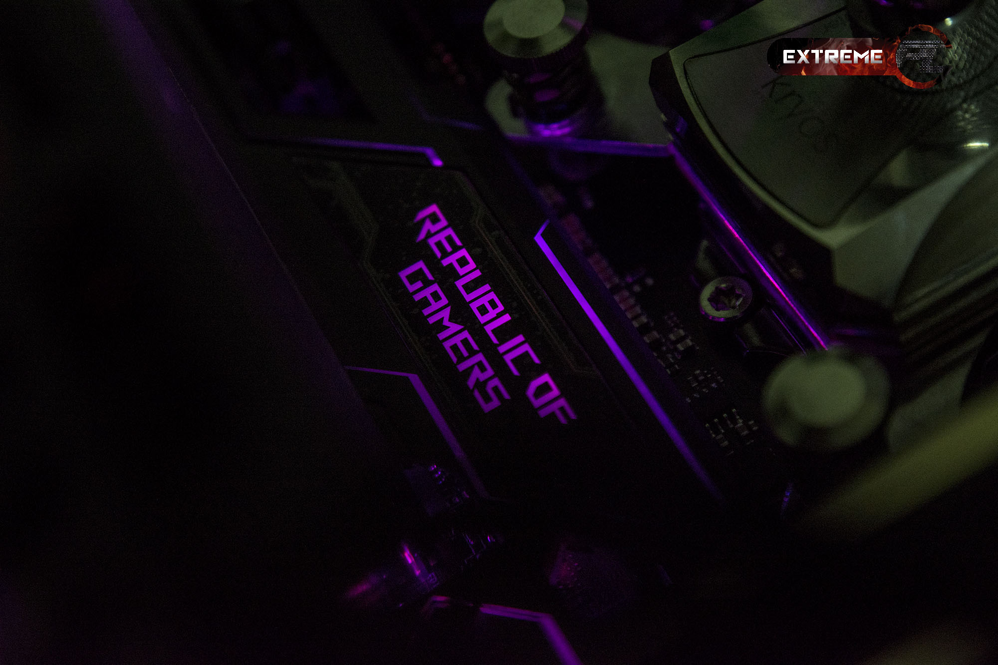 DSC_4322 - Extreme IT