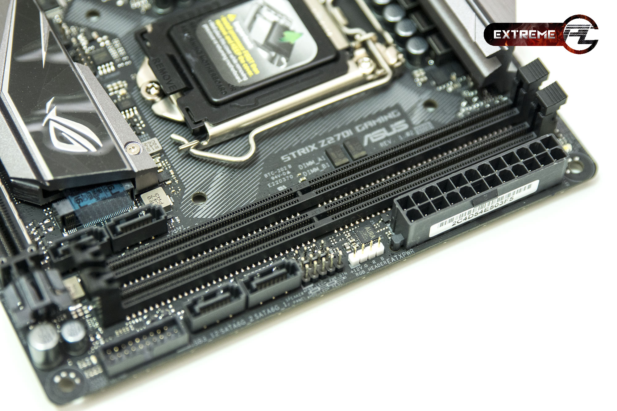 DSC_5472 - Extreme IT