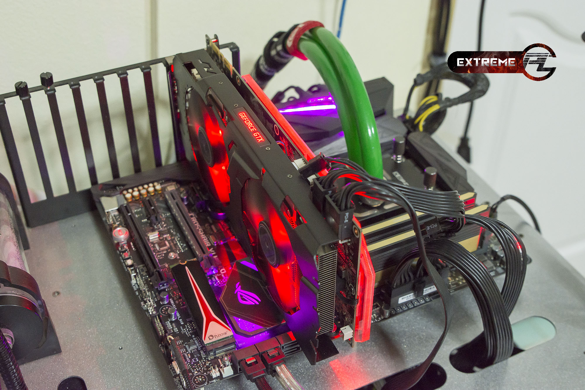 DSC_5806 - Extreme IT