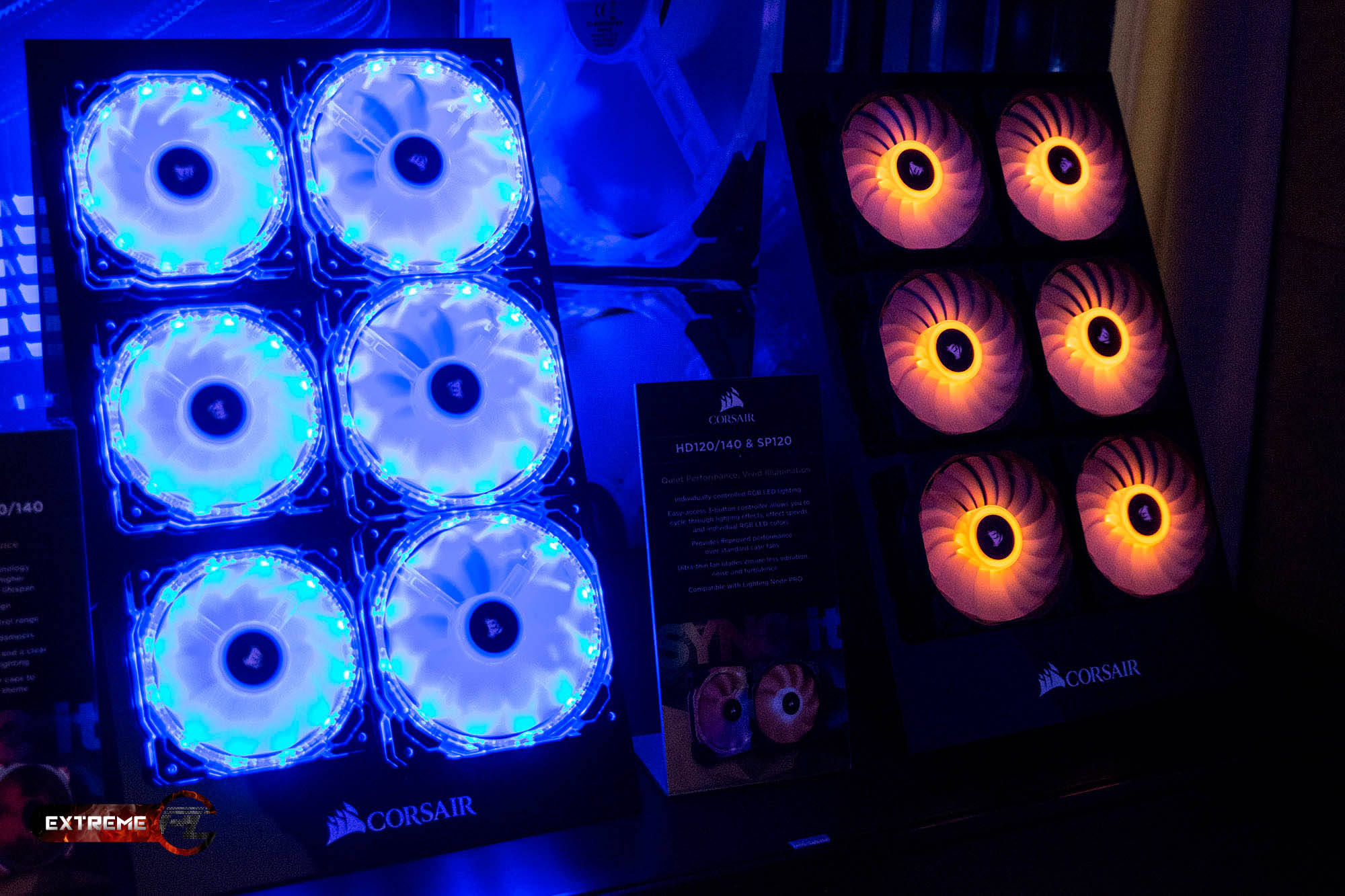 DSC_7587 - Extreme IT