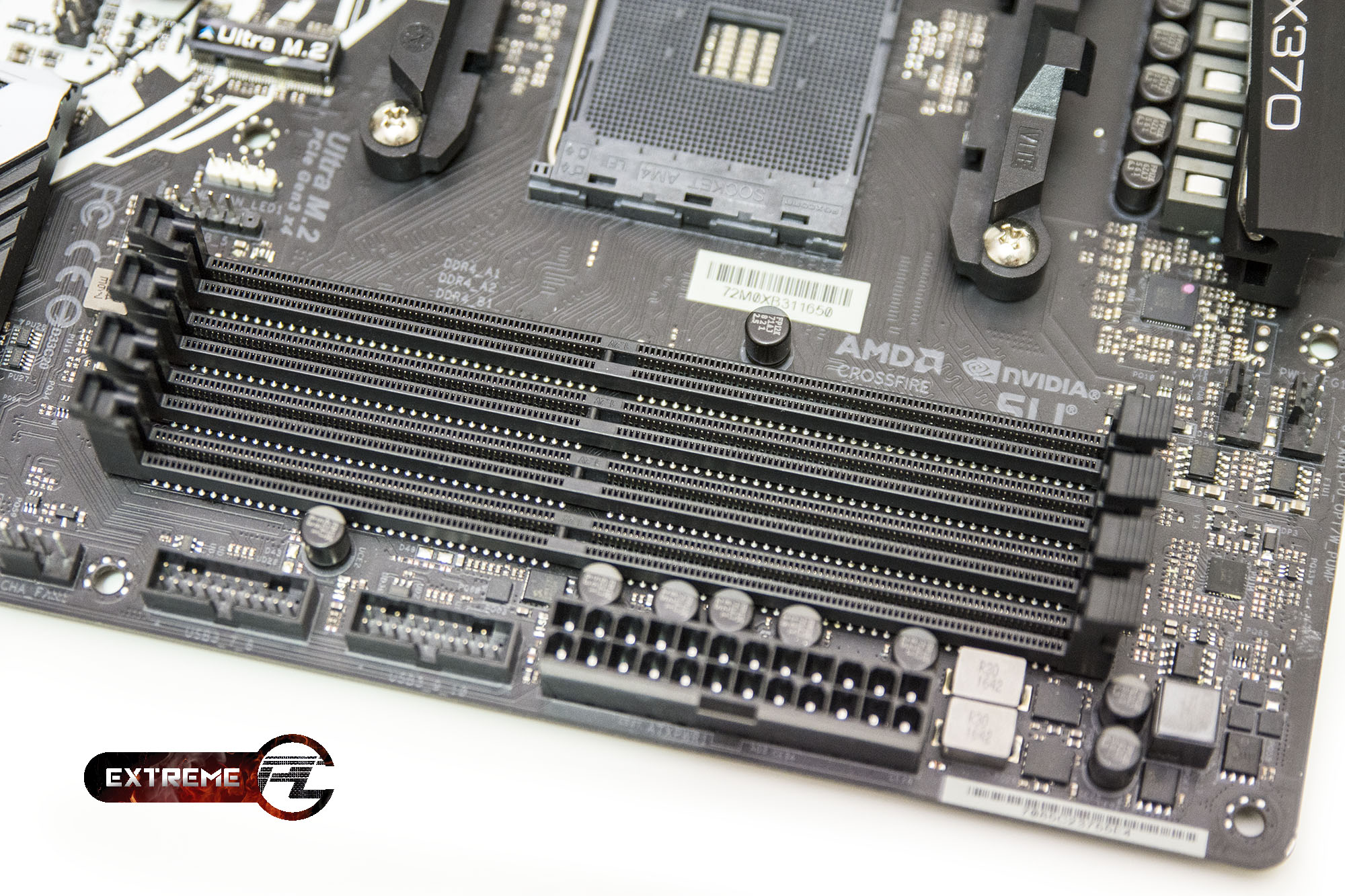 DSC_8182 - Extreme IT