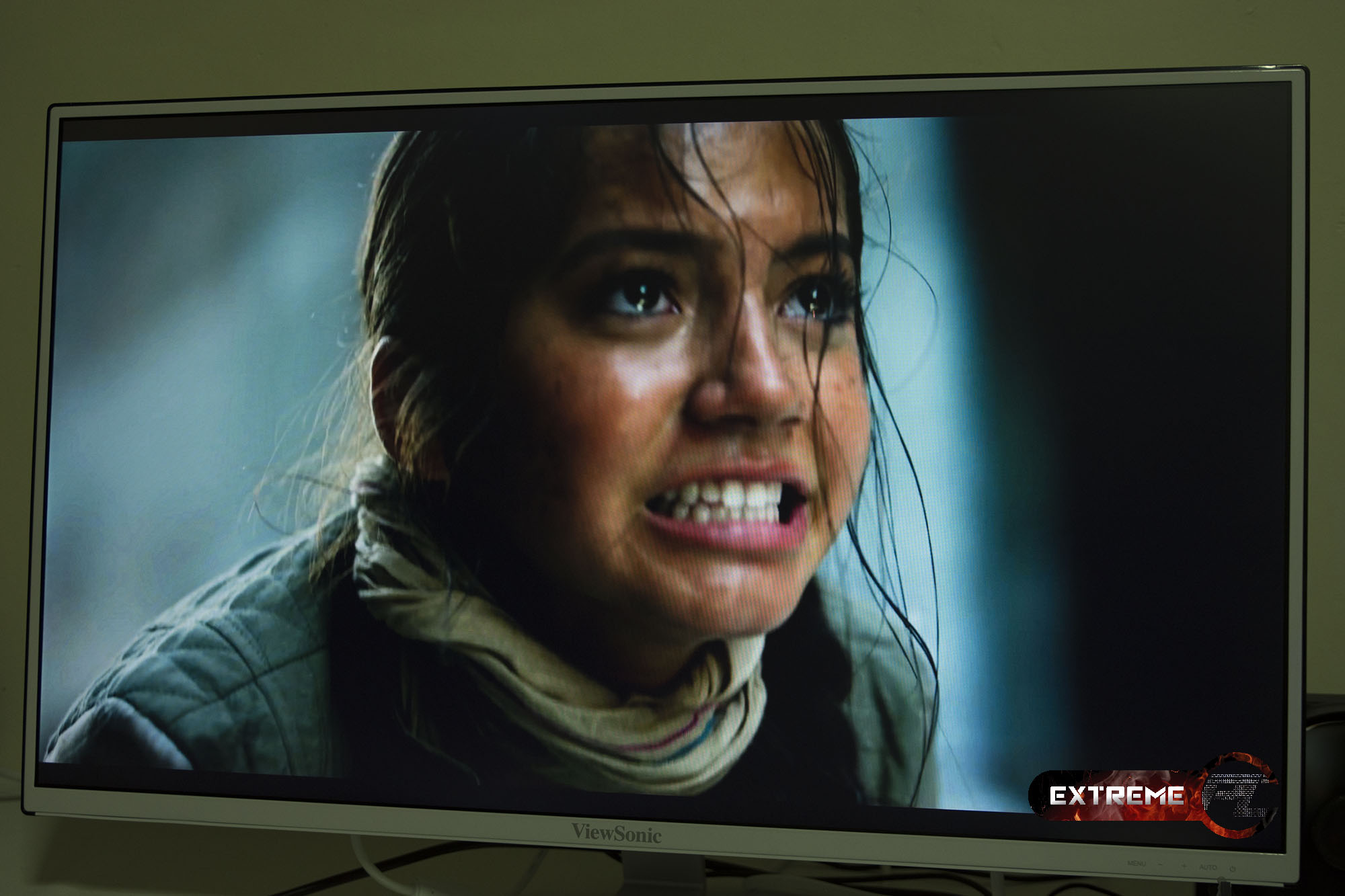 DSC_0333 - Extreme IT