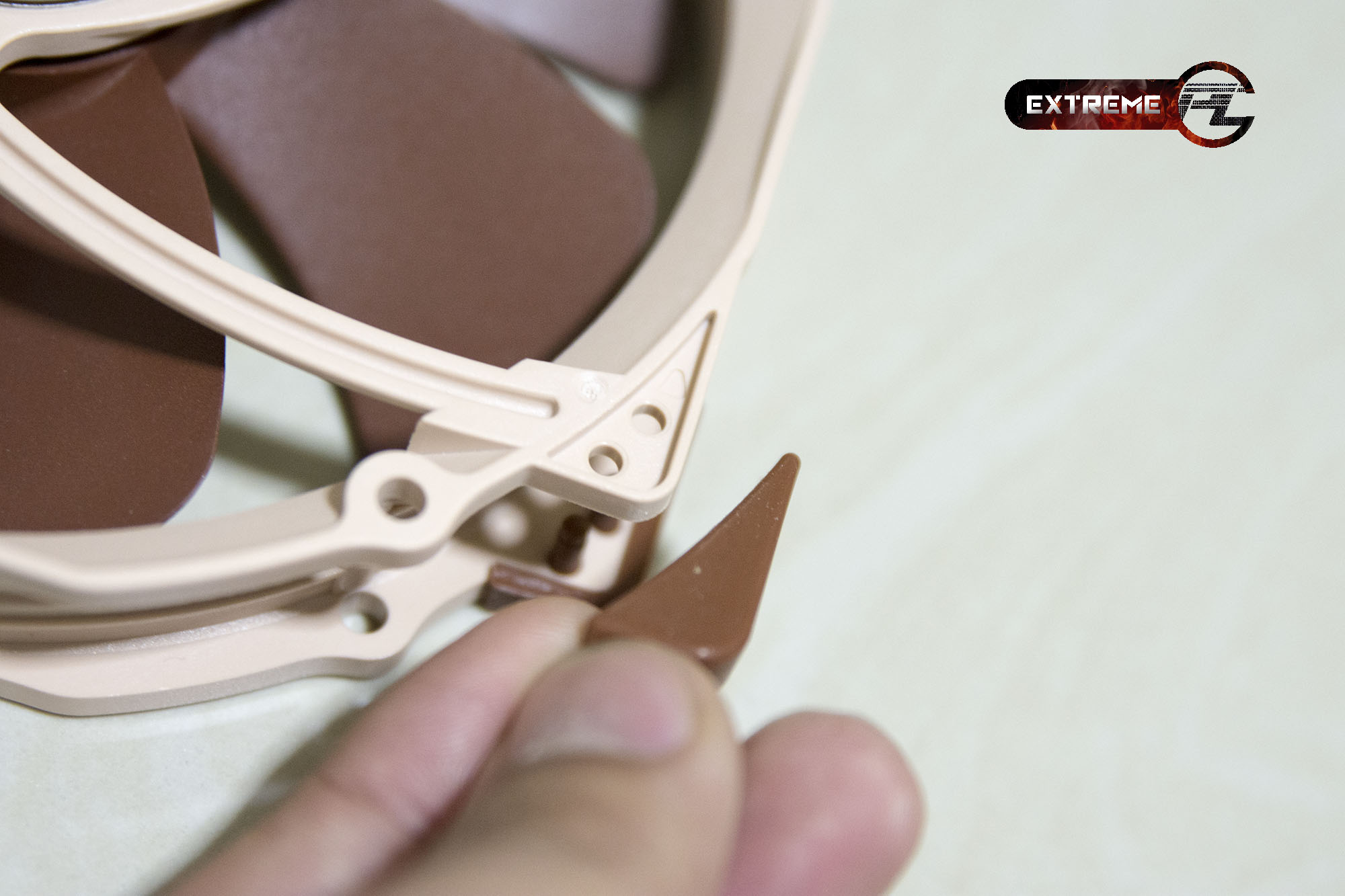 DSC_0360 - Extreme IT