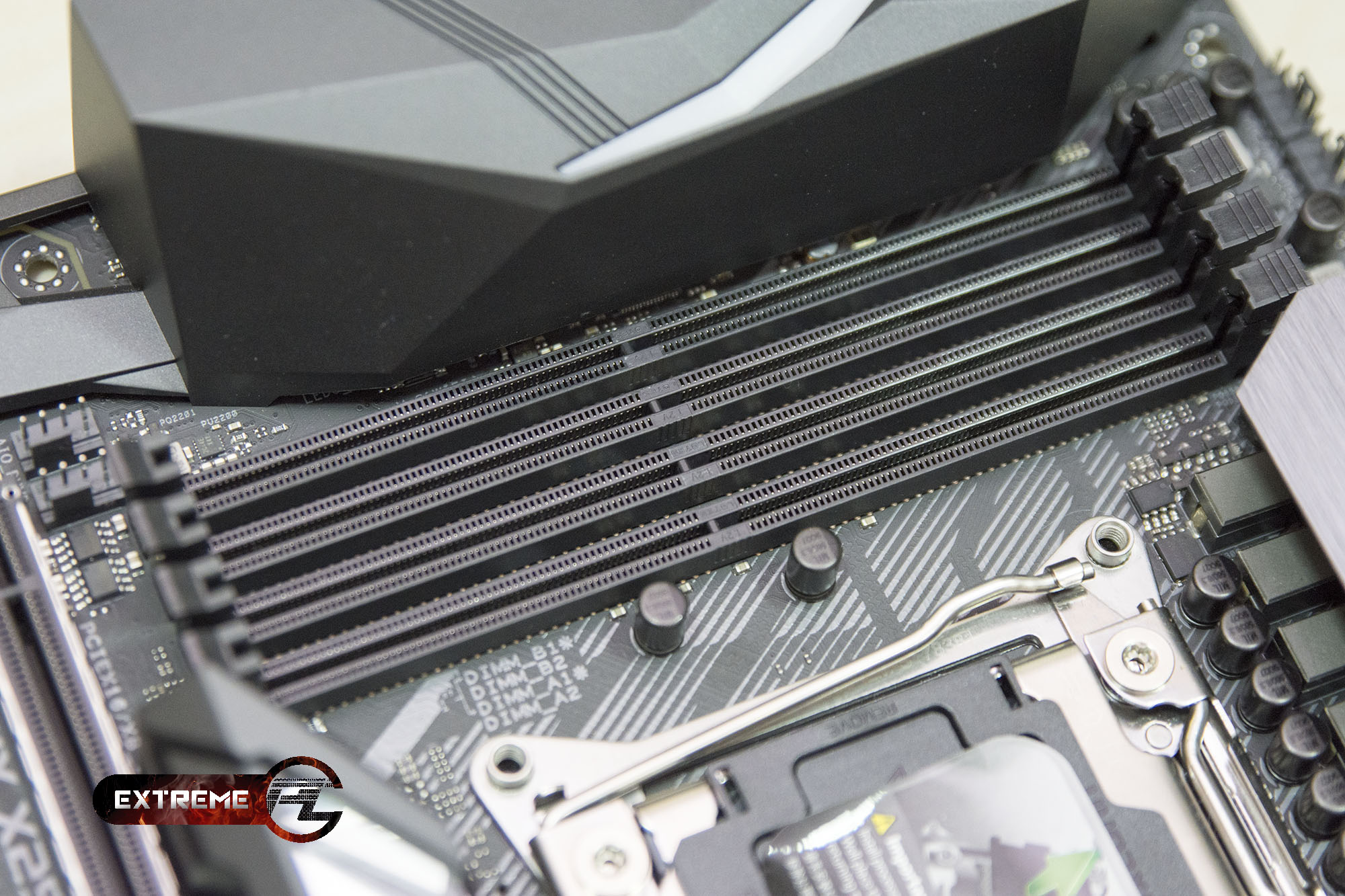 DSC_0695 - Extreme IT