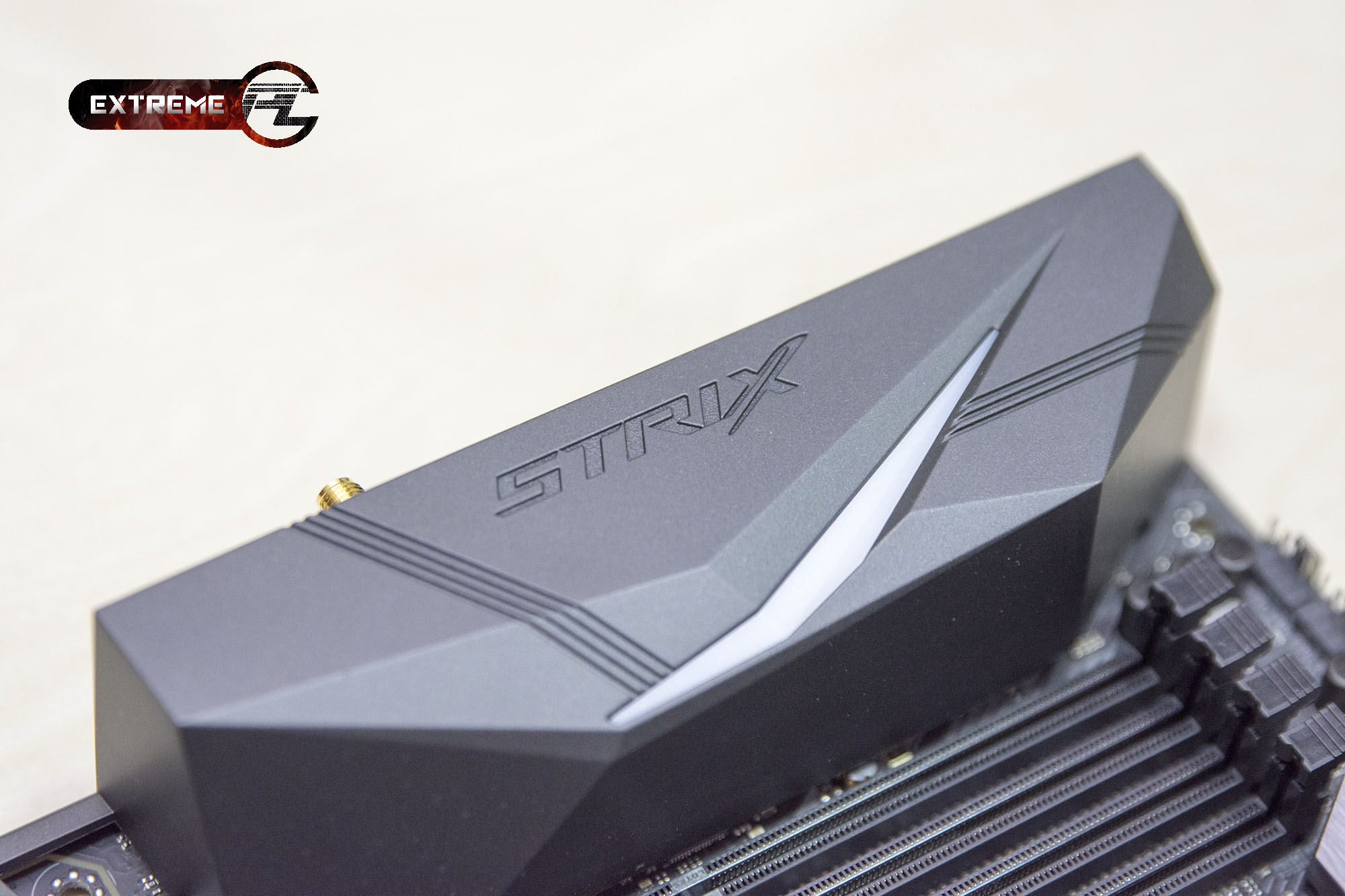 DSC_0696 - Extreme IT