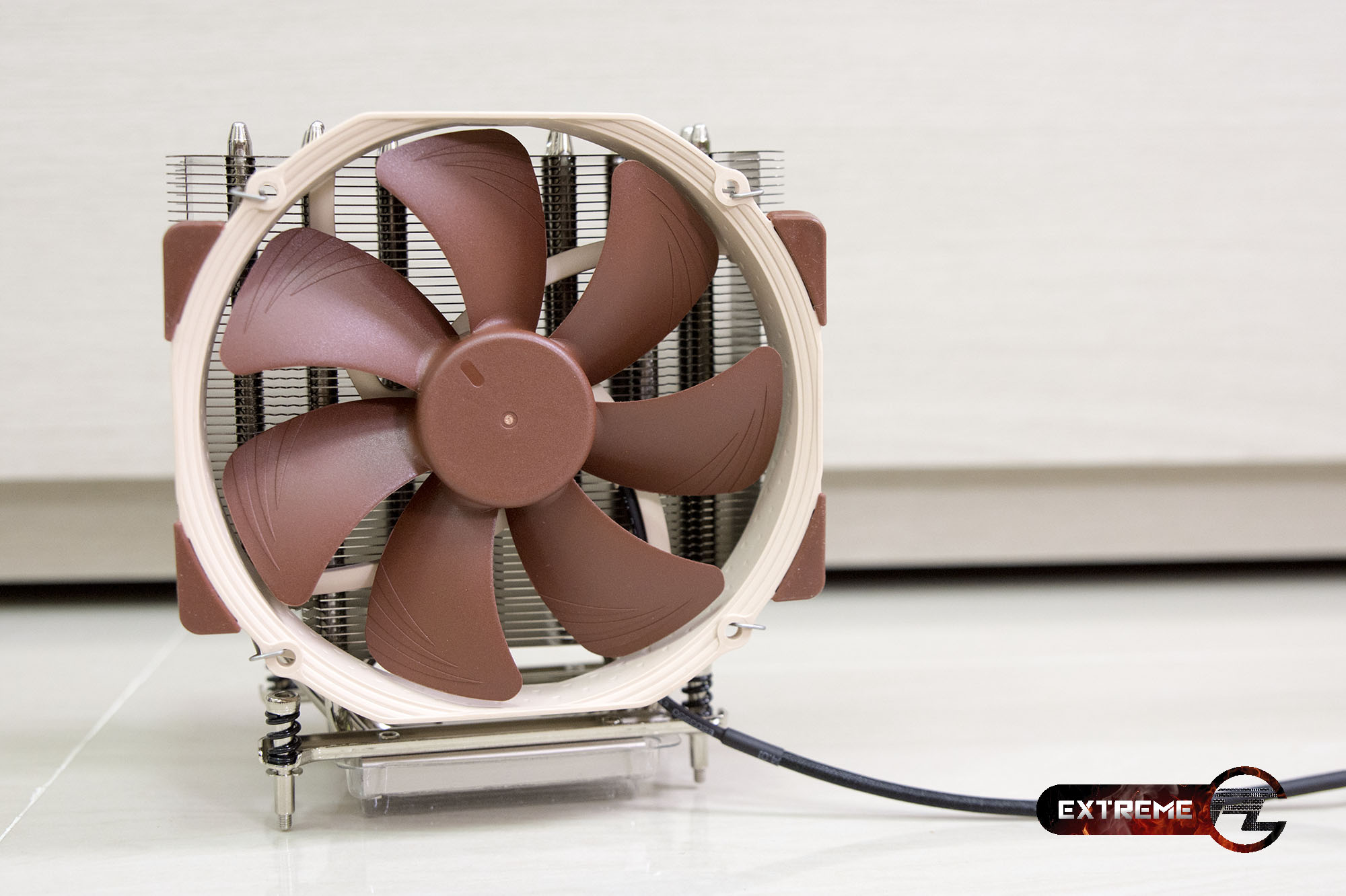 DSC_0822 - Extreme IT