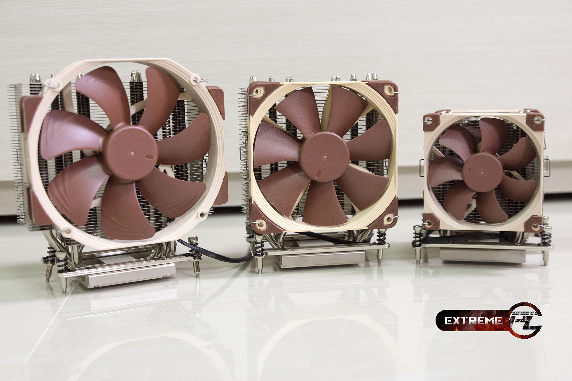 DSC_0863 - Extreme IT