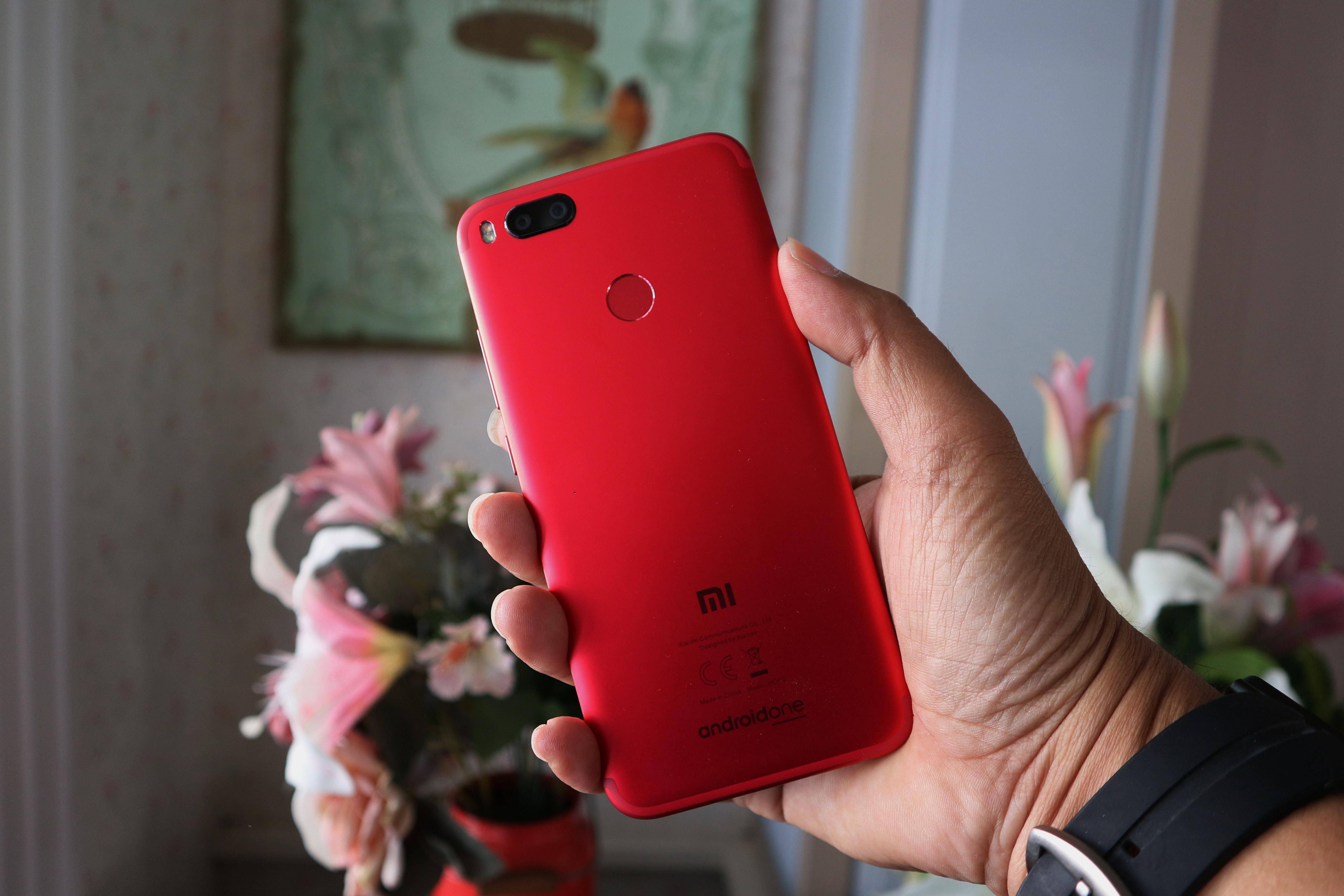 IMG_5344 - Extreme IT