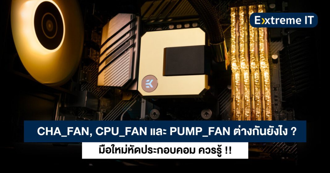 มือใหม่หัดประกอบคอม - รู้จัก CHA_FAN, CPU_FAN และ PUMP_FAN ต่างกัน ...